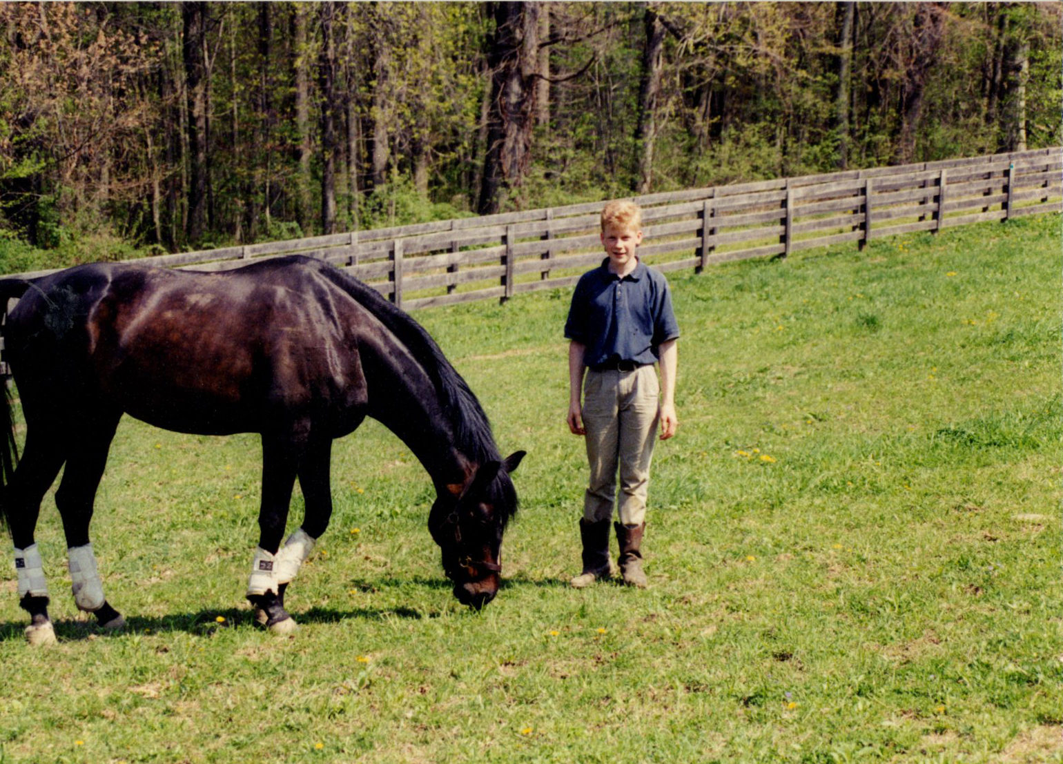 David's Story - David Loves Priscilla
